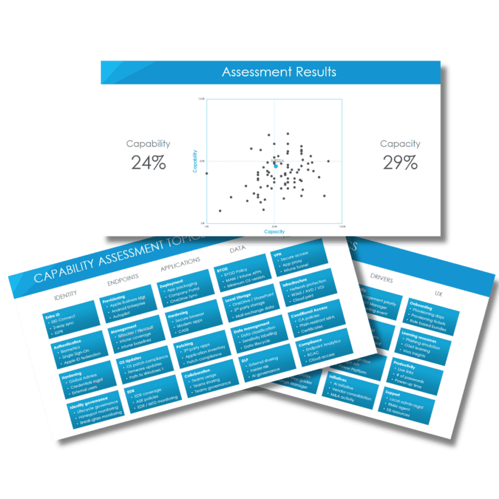 Capability and Capacity Assessment