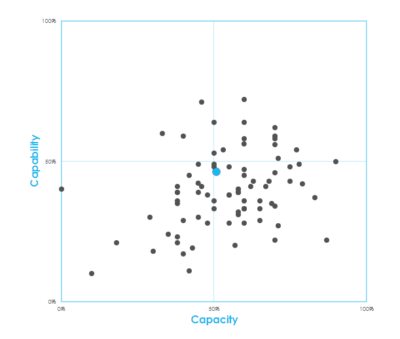 Capability and Capacity Assessment