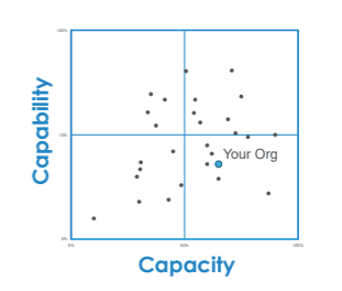 Capability and Capacity Assessment