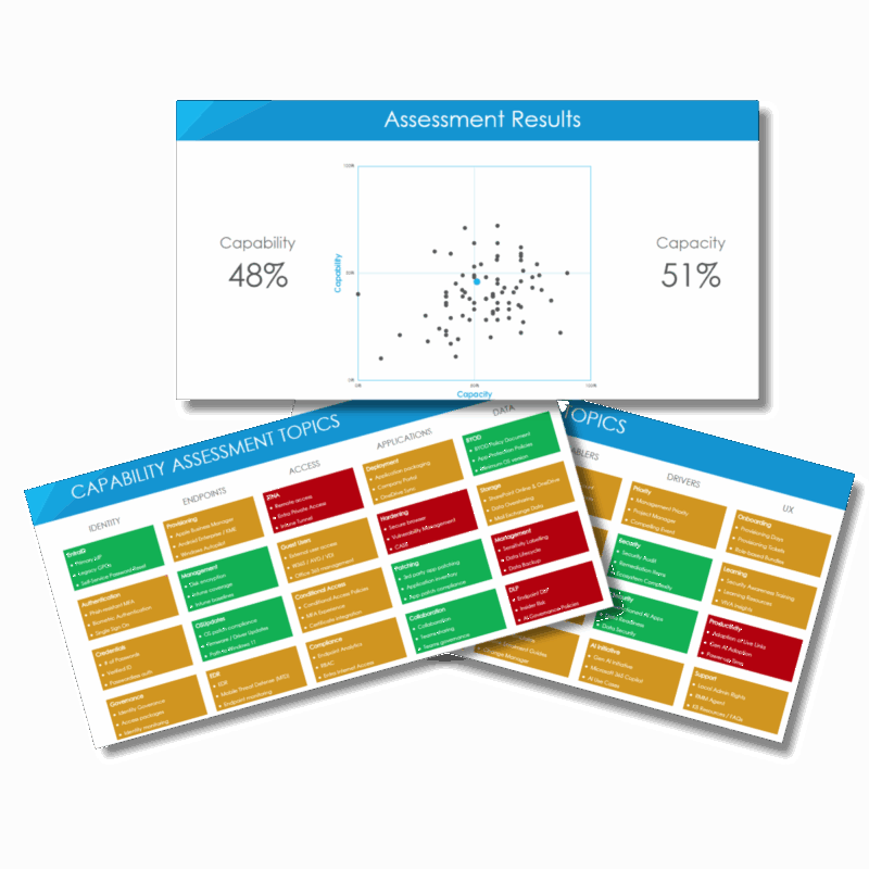 Capability and Capacity Assessment